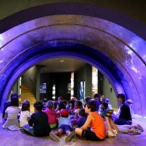 Acquajoy di Rivoli: scivoli e relax per famiglie a pochi passi da Torino